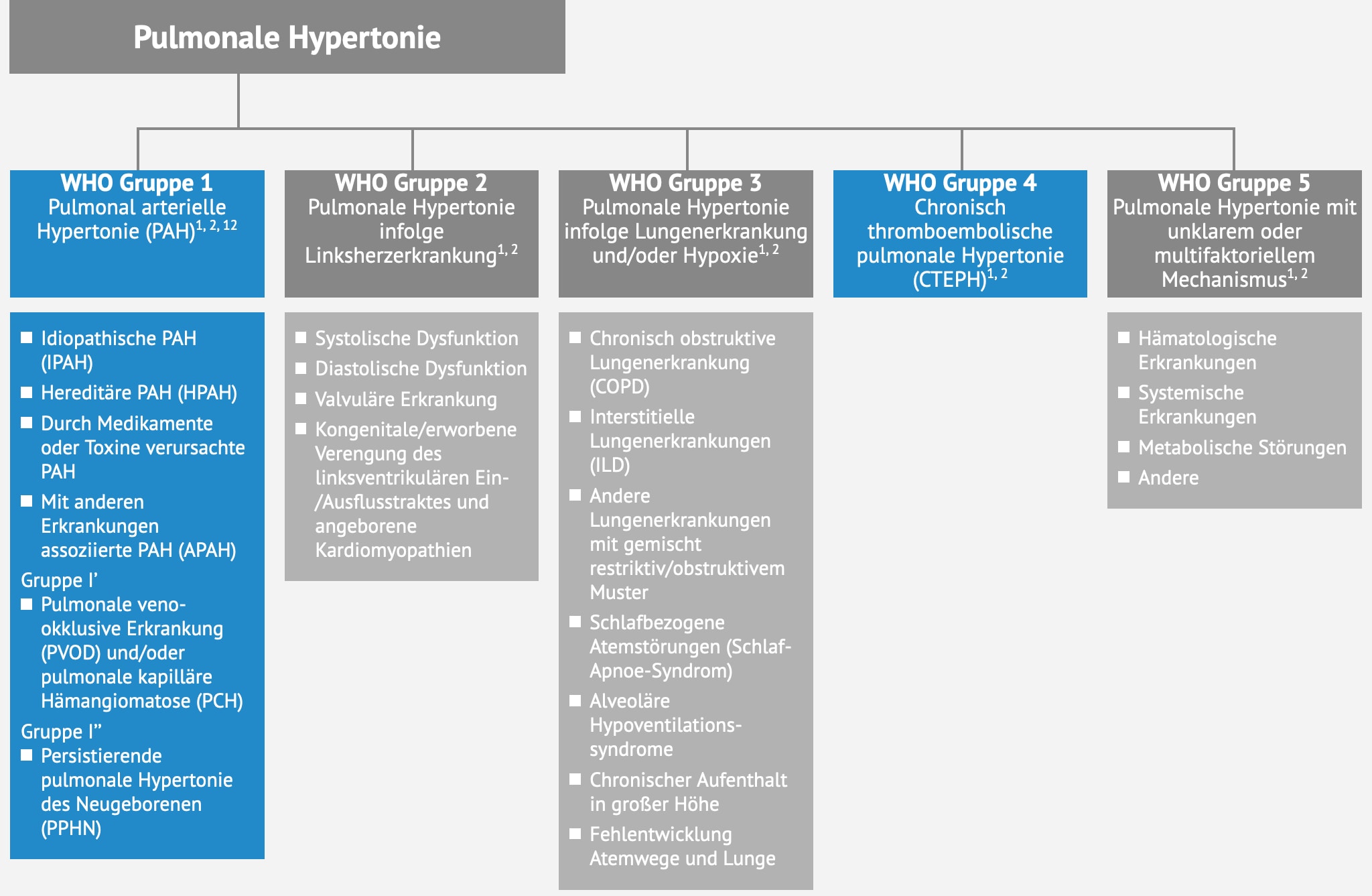 Lungenhochdruck - PAH